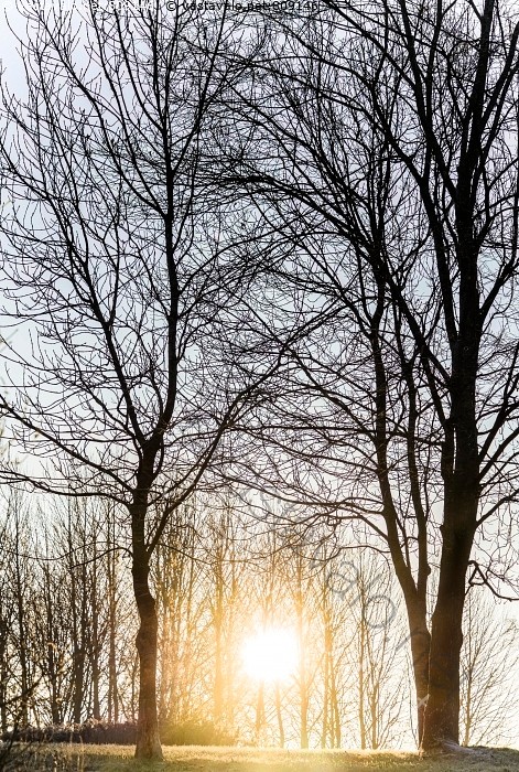 Kuva: Syksyinen puistomaisema - syksy valo aurinko auringon kirkas säde ...