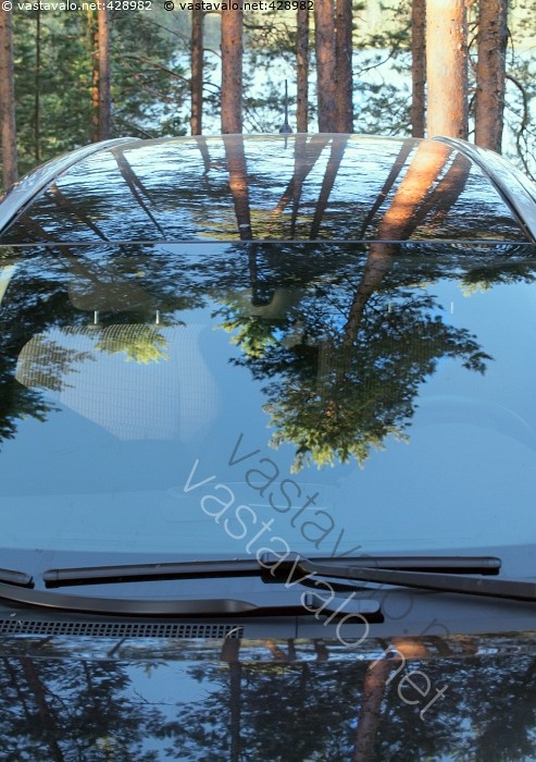 Kuva: Luontoon sulautuva auto - puut metsä auto henkilöauto puunrungot ...