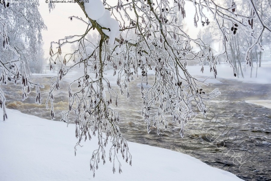 Kuva: Hyytävän kylmää talvitunnelmaa - talvi kylmä pakkanen pakkaspäivä ...