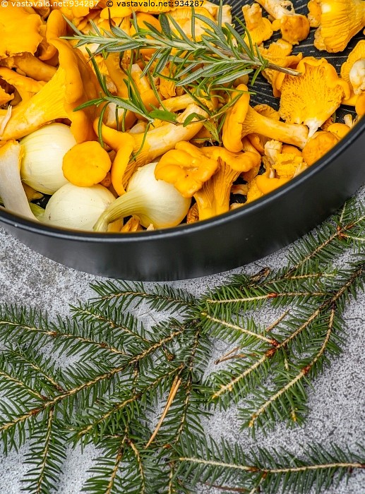 Kuva: Kesän herkkuja pannulla - kanttarelli kantarelli keltavahvero ...