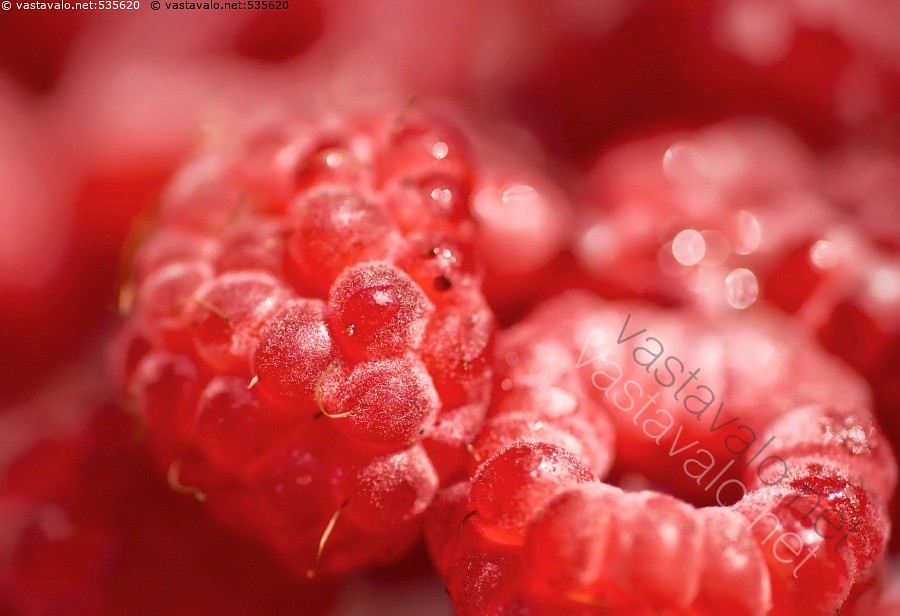 Kuva: Kotimaiset vadelmat - vadelma vadelmat marja marjat kotimaiset ...