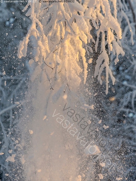 Kuva: Putoileva lumi - lumi talvi lumihiutale pakkaslumi lumikide ...