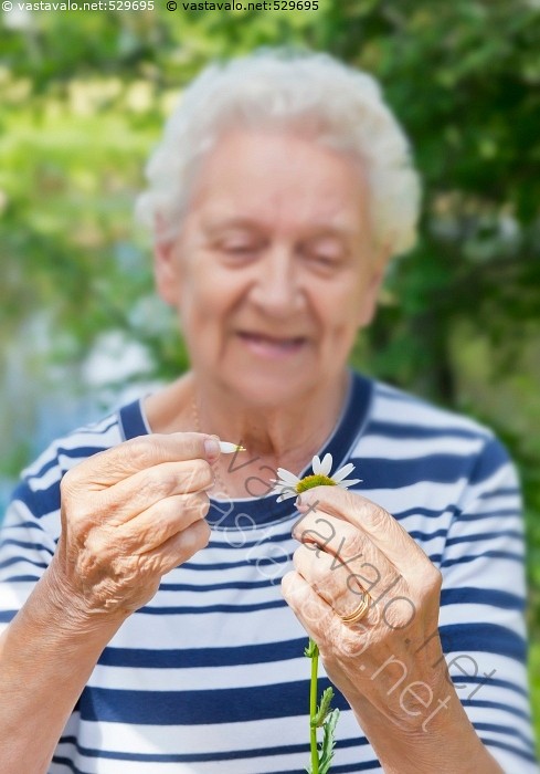 Kuva: Rakkautta ilmassa - kukka terälehti vanhus hymyilee onnellinen ...