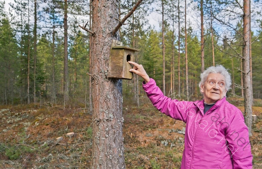 Kuva: Linnunpönttöjen keväthuolto - vanhus linnunpönttö kevät keväinen ...