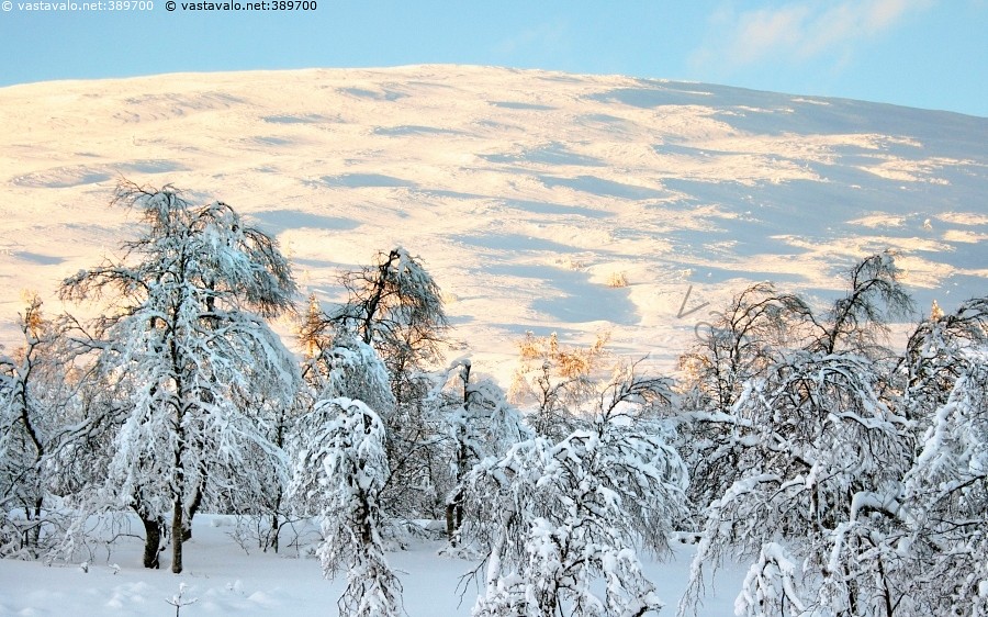 Kuva: Tunturi - Lappi Vuontiskero tunturi maisema talvi lumi luminen ...