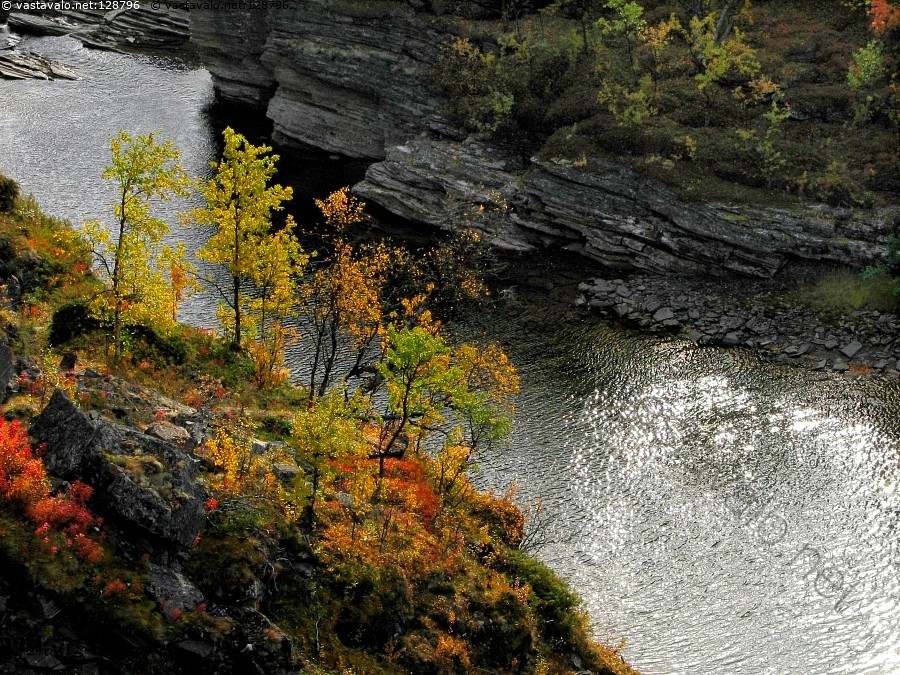 Kuva: Kanjoni - puro joki Norja Lappi kanjoni syksy syys syyskuu puut ...