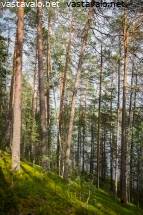 Kuva: Värikallio - Suomussalmi Hossa värikallio kivikausi kalliomaalaus ...