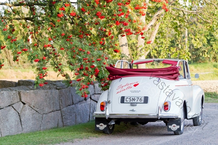 Kuva: Vanha Morris - vanha englantilainen auto Morris Minor avoauto ...