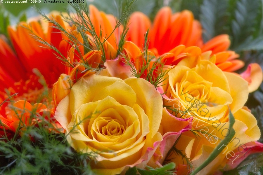 Kuva: Keväinen kukkakimppu - kevät keväinen kukkakimppu kukka kukat ...