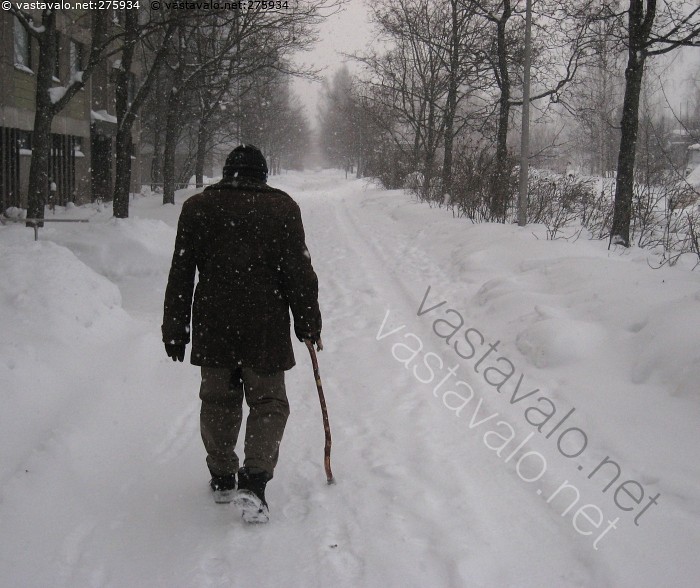 Kuva: Vanha mies tuiskussa - mies vanhus kumara kävellä kävelee pipo ...