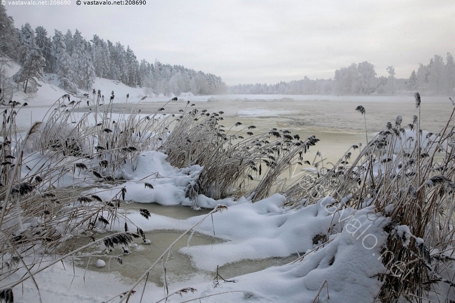 Kuva: Talvinen joki - joki Kymijoki talvi törröttäjä ranta lumi jää ...