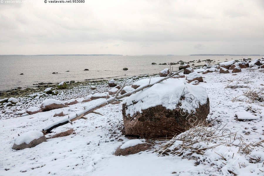 Kuva: Saaren ranta - saari saaristo Itäinen Suomenlahti Itäisen ...