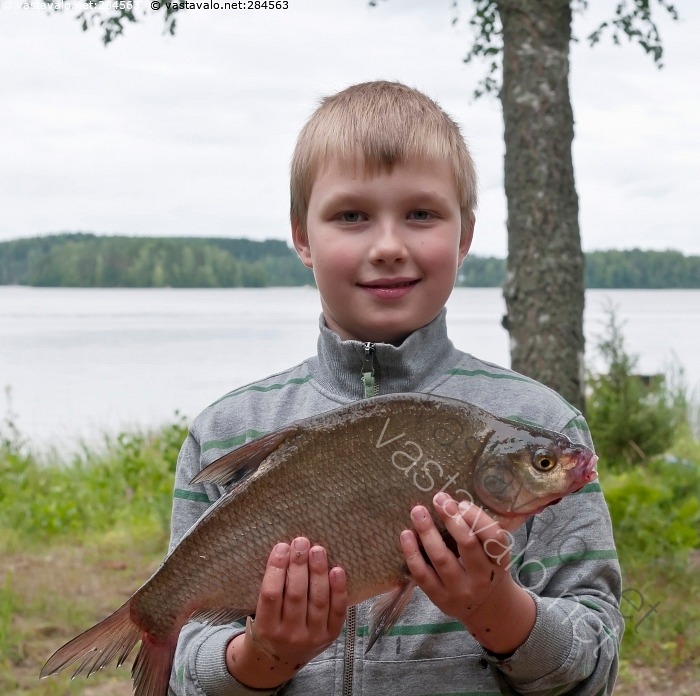 Kuva: Lahnasaalis - kala kalastaja kesä lahna loppijärvi poika ...