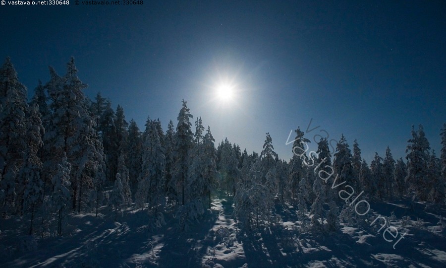 Kuva: Kuutamo - maisema talvimaisema Lappi talvi tykkylumi metsä lumi ...
