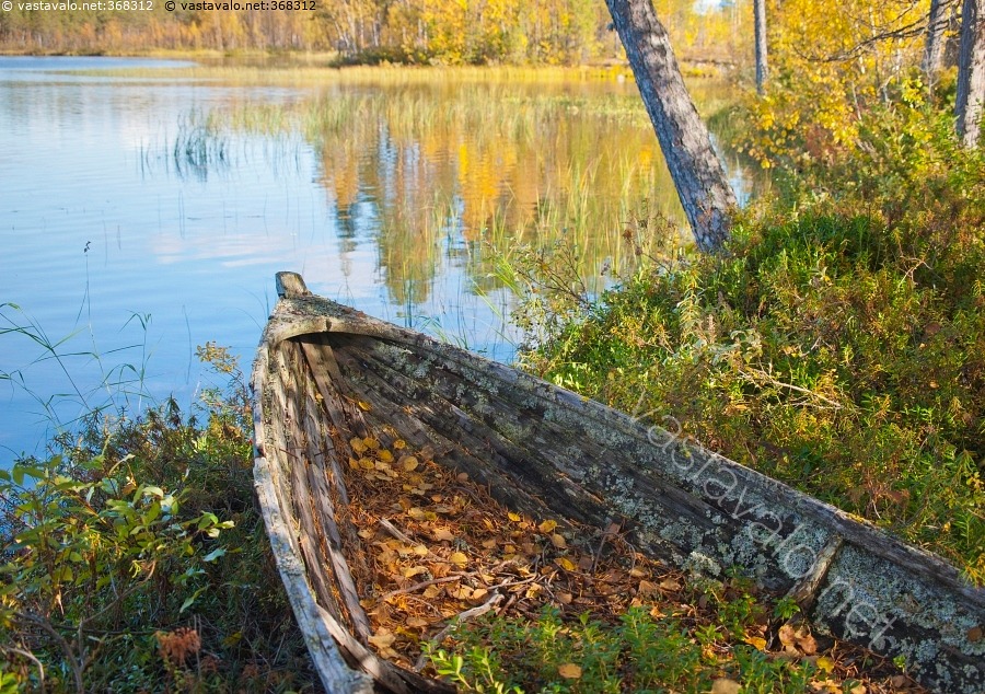 Kuva: Vanha vene - järvi maisema ruska vesi puut varvikko pudonneet ...