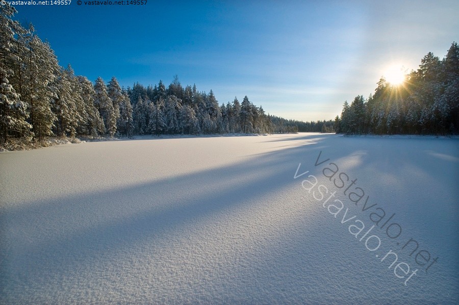 Kuva: Talvipäivä - talvimaisema aurinko jää järvi metsä ranta puiden ...