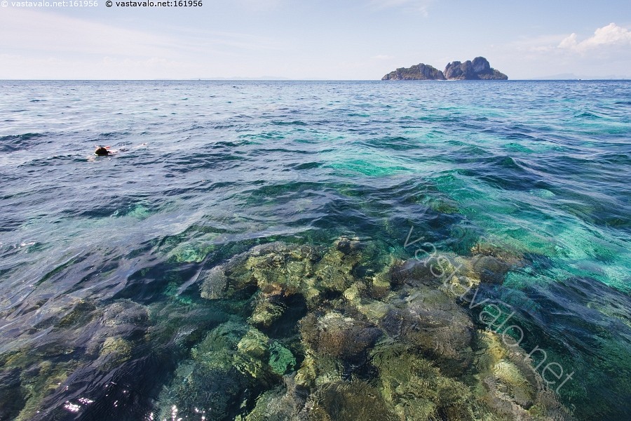 Kuva: Hin Krang Coral - hin krang coral ko koh phi islands saaret krabi ...