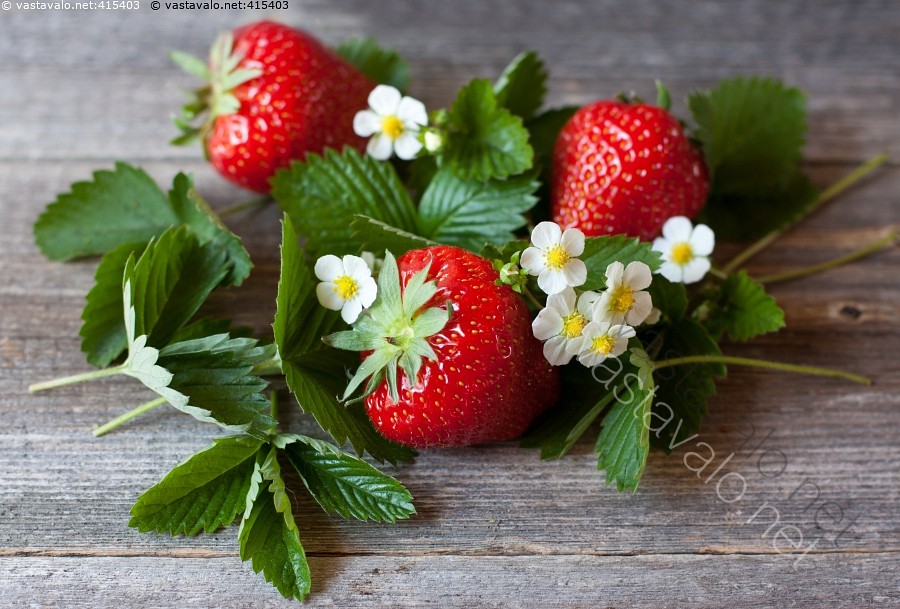 Kuva: Mansikoita - mansikka mansikat punainen punaiset kypsä kypsät ...