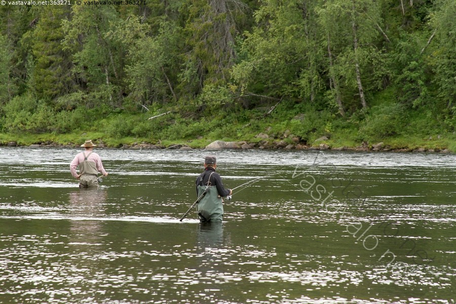 Kuva: Kalastajat - kalastus kalastaa lohenkalastus perhokalastus ...