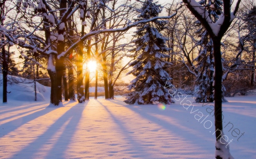 Kuva: Talvinen auringonpaiste - talvi lumi pakkanen tammikuu kylmä ...