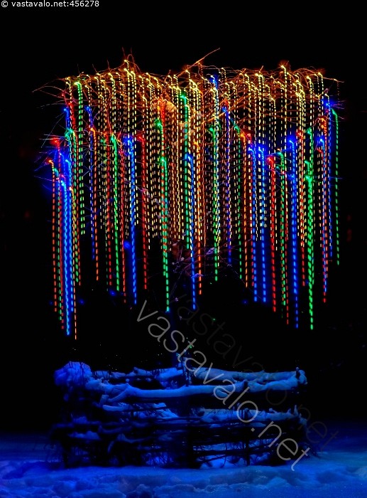 Kuva: Valopuu - led ledivalot ledivalo ledvalo valokoriste pensas ...
