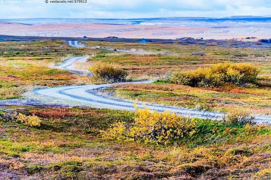 Kuva: Kallijokilaakson tie - Skallelv Kallijoki Pohjois-Norja Finnmark ...