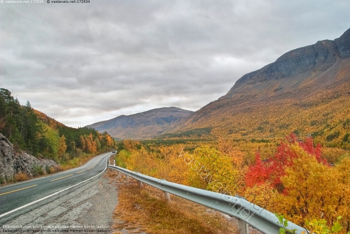 Kuva: Tunturitie - norja ruska syksy lappi tie autotie tunturitie vuori ...