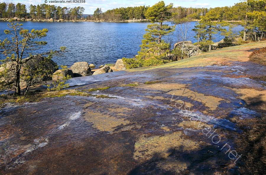 Kuva: Keväinen rantakallio - Linkinkallio ranta rantakallio kallio meri ...