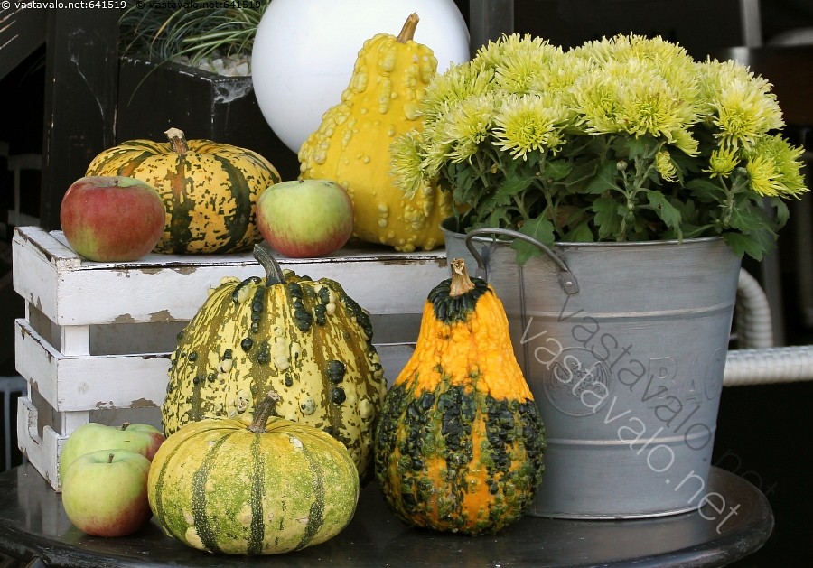 Galleria: Syksyn satoa