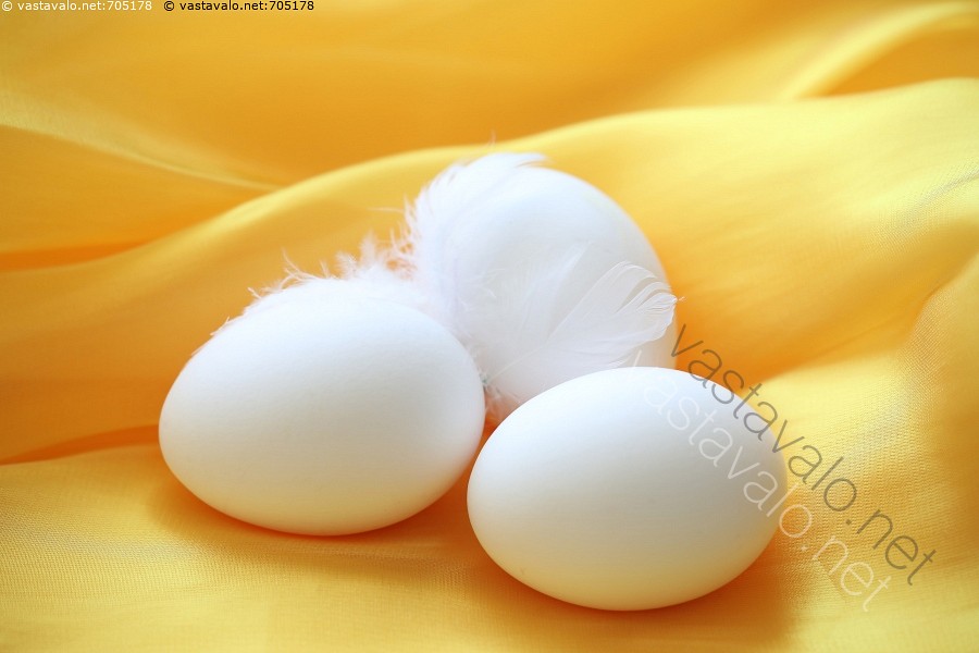 Kuva: Pääsiäismunia - muna munat munia kananmuna kananmunat kananmunia ...