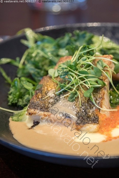 Kuva: Juhlaruokaa - kuha kuhaa kuha-annos annos ruoka ruoka-annos ...