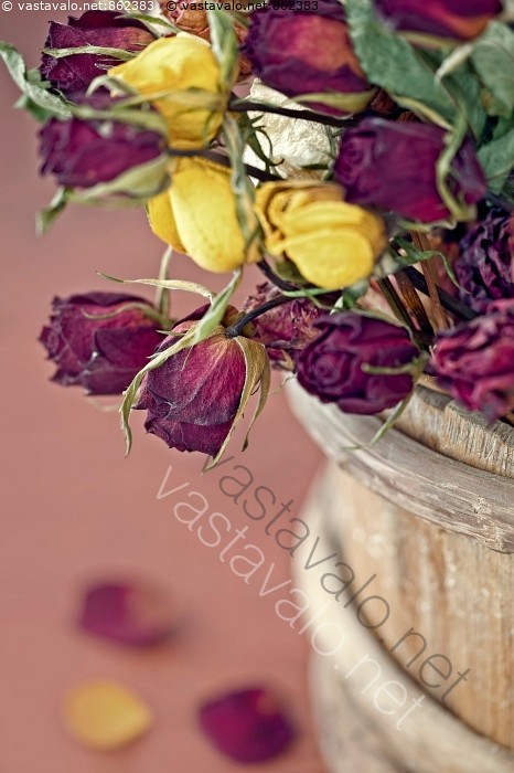 Kuva: Ruusuiset muistot - ruusu kukka ruusut ruusuja kukkia kukat ...