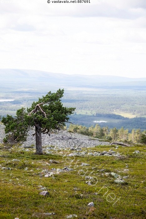 Kuva: Lapin maisemia - Levi Levitunturi Lapin maisema lapinmaisema ...