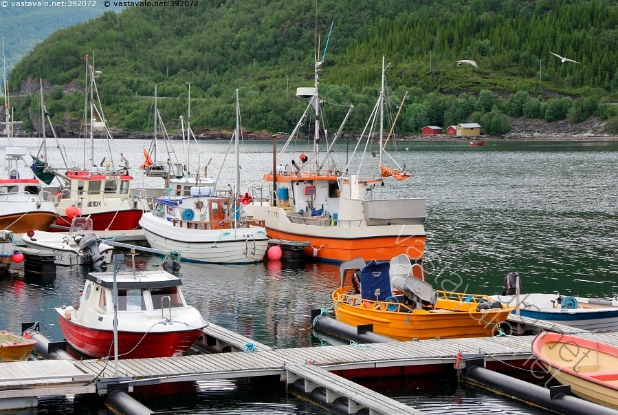 Kuva: Väriloistoa pienvenesatamassa - Norja Pohjois-Norja Lyngen ...