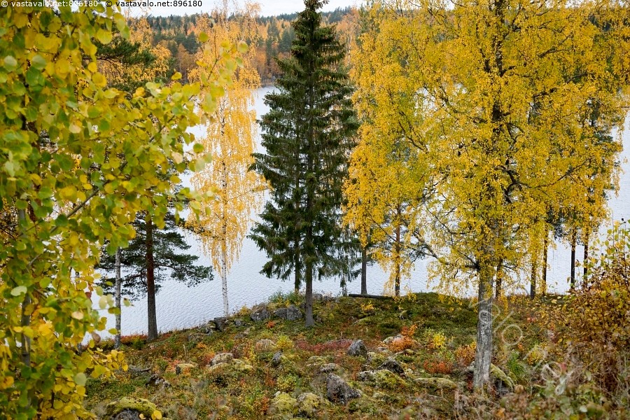 Kuva: Syksyinen näkymä - ruska ruska-aika ruskapuu ruskapuut ruskaväri ...