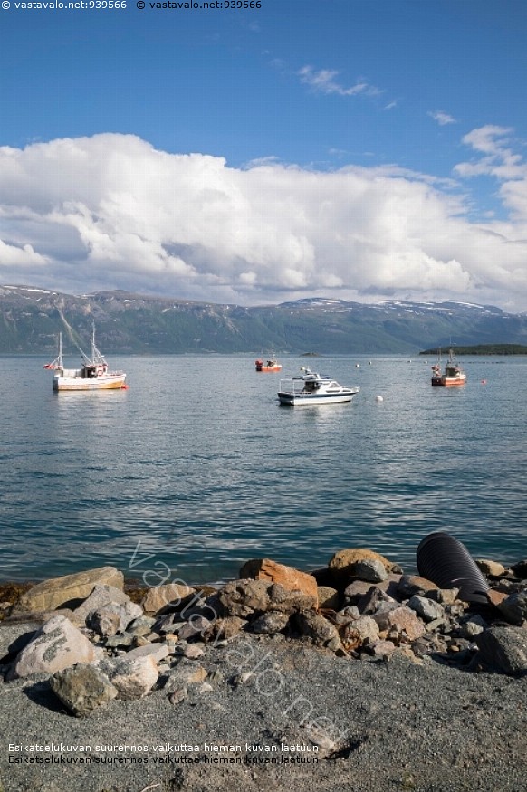 Kuva: Kalastajien vapaapäivä - Lyngenin rannikko Lyngen Yykeä Yykeän ...
