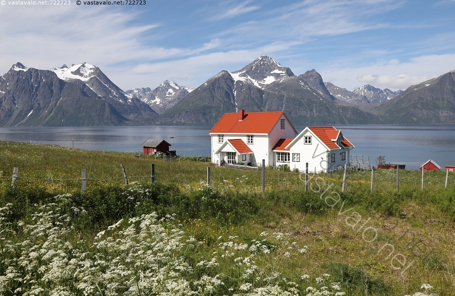 Kuva: Punakattoinen talo - talo rakennus omakotitalo valkoinen punainen ...