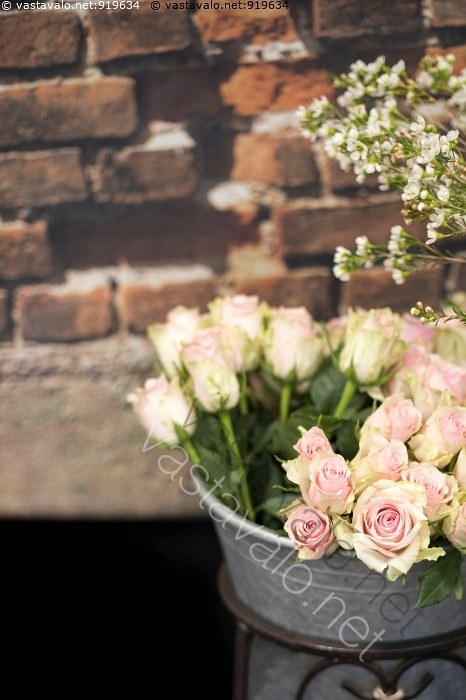 Kuva: Vaaleanpunaisia ruusuja - ruusu ruusut ruusuja vaaleanpunainen ...