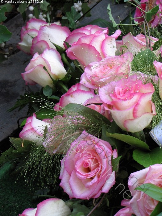 Kuva: Ruusuja muistoksi - ruusu ruusut muistoruusu muistoruusut kukka ...