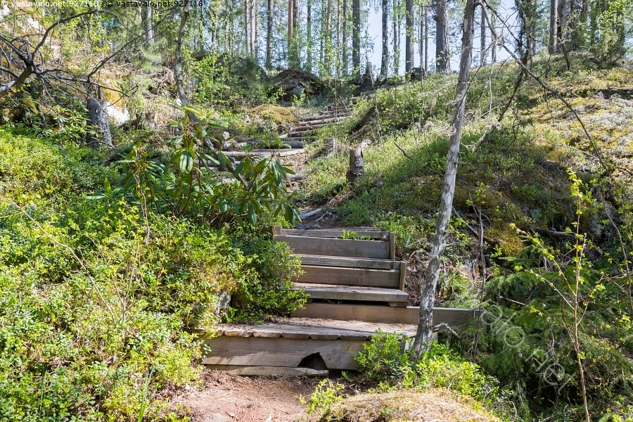 Kuva: Puiset rappuset - polku luonto luontopolku kävelytie ylöspäin ...