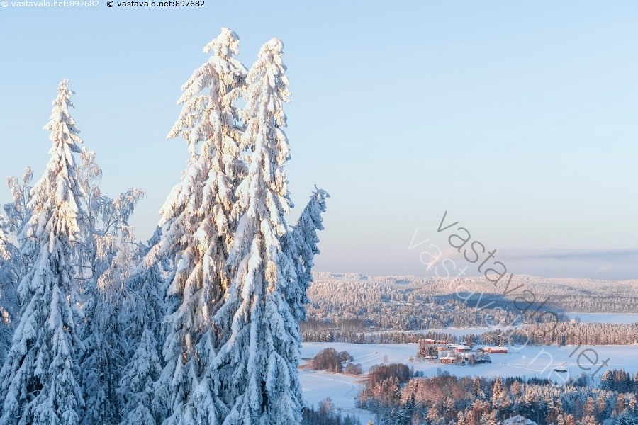 Kuva: Talvimaisema - maisema talvi maaseutu maalaismaisema talvimaisema ...