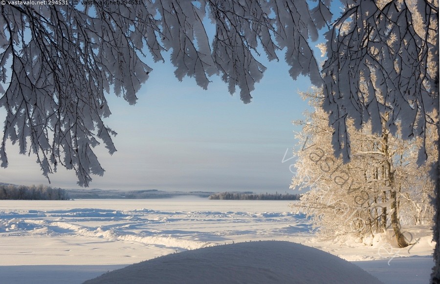 Kuva: Talvimaisema - talvi kylmä pakkanen paukkupakkanen lumi lunta ...