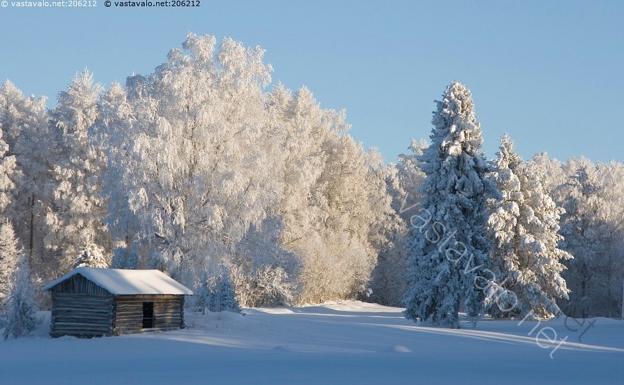 Kuva: Talvimaisema - talvi talvella pakkanen kylmä jää valkoinen lumi ...
