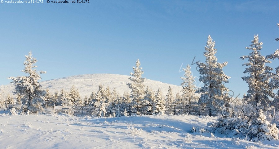 Kuva: Talvi tulee tunturiin - maisema Lappi talvi aurinkoinen ...