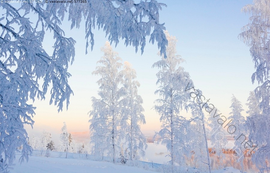 Kuva: Talvimaisema - talvimaisema talvi talvella talvinen kylmä ...