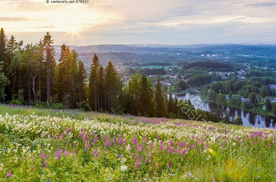 Kuva: Muurame - Muuramen kunta kylä kyläkunta taajama järvi vesistö ...