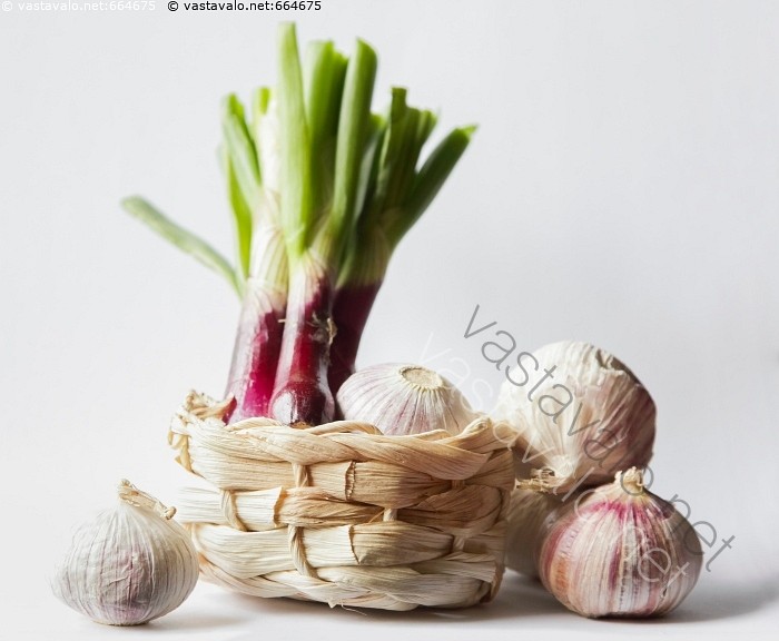 Kuva: Sipulit - valkosipuli sipuli sipulit valkosipulit punasipuli ...