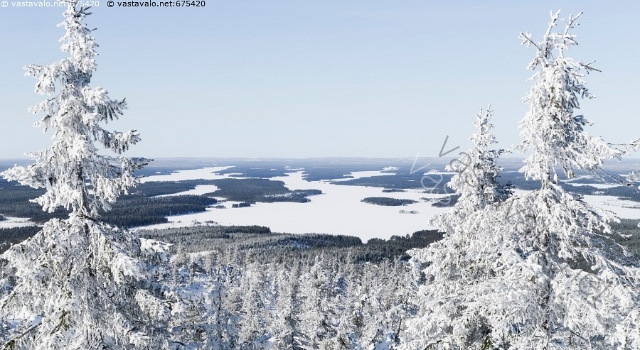 Kuva: Iijärvi - vaara Iivaara Iivaaran-Jousivaaran luonnonsuojelualue ...