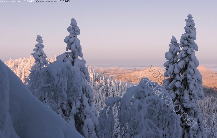 Kuva: Talvimaisema - luonto luonnossa retkeilyalue tammikuu talvi ...
