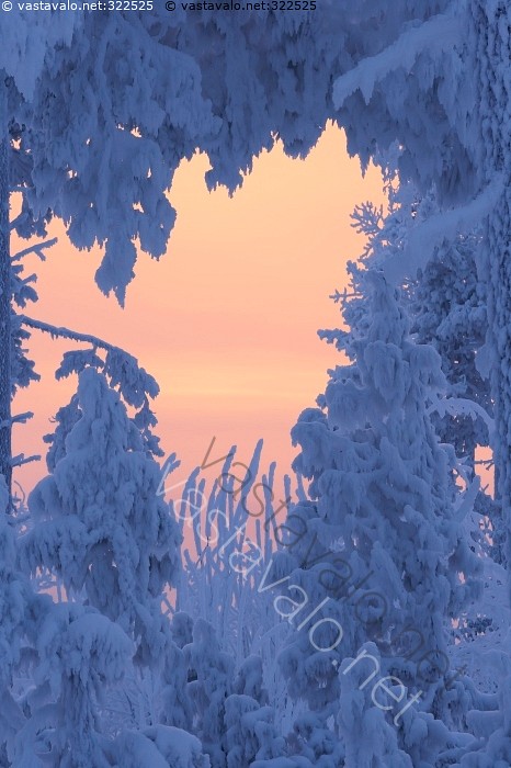 Kuva: Talviaika - talvi talvinen luonto keskitalvi pakkanen ...